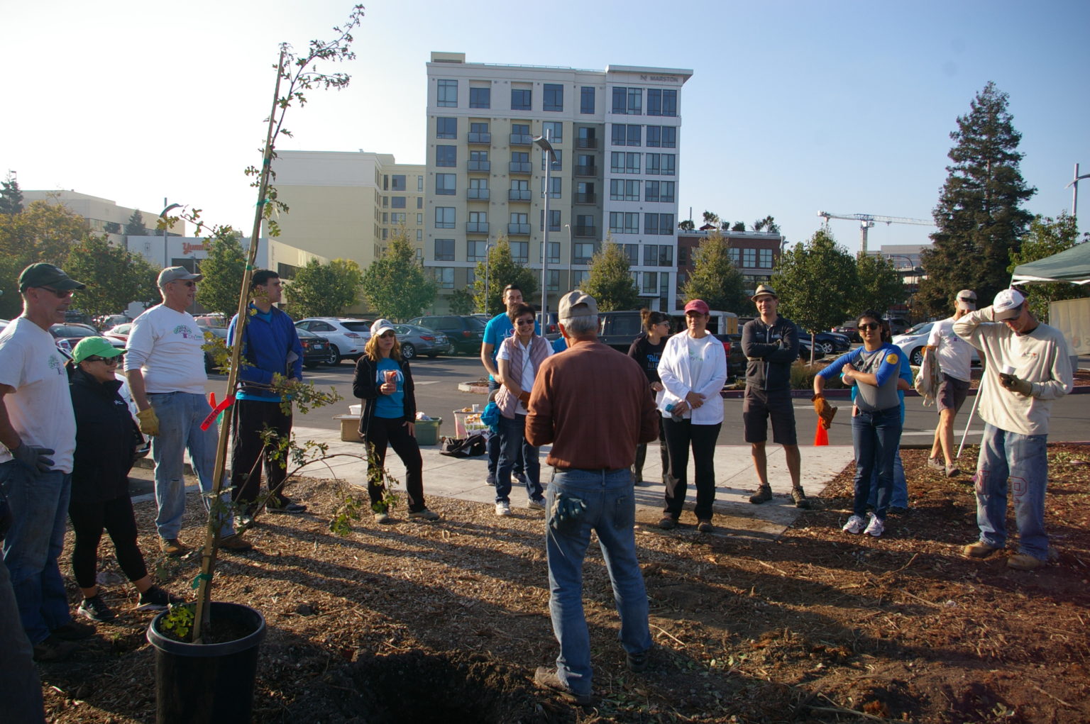 CityTrees of Redwood City - Neighborhood Tree Planting
