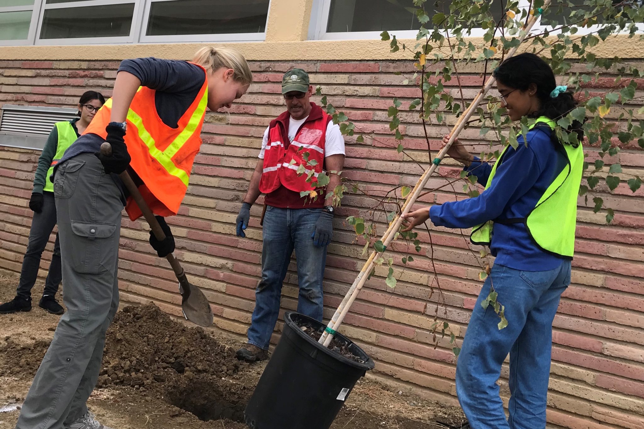 CityTrees of Redwood City - Neighborhood Tree Planting