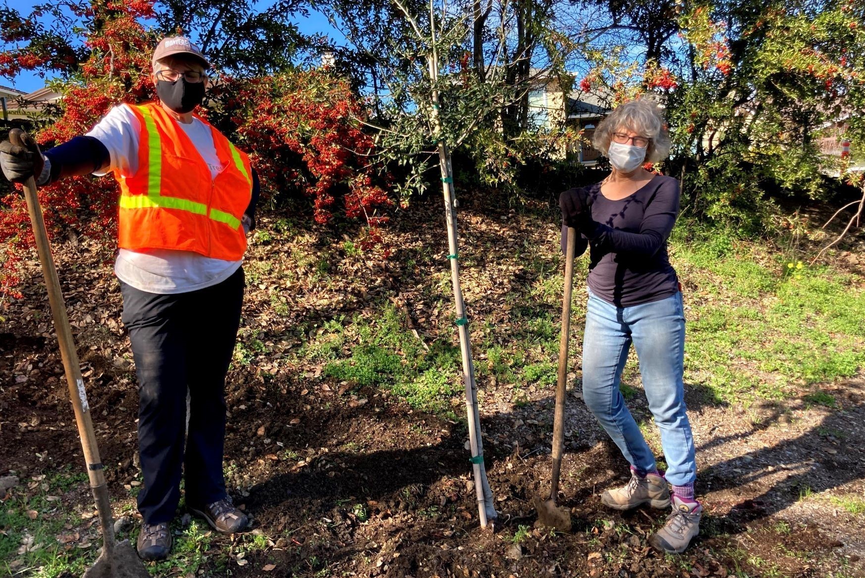 CityTrees of Redwood City - Neighborhood Tree Planting