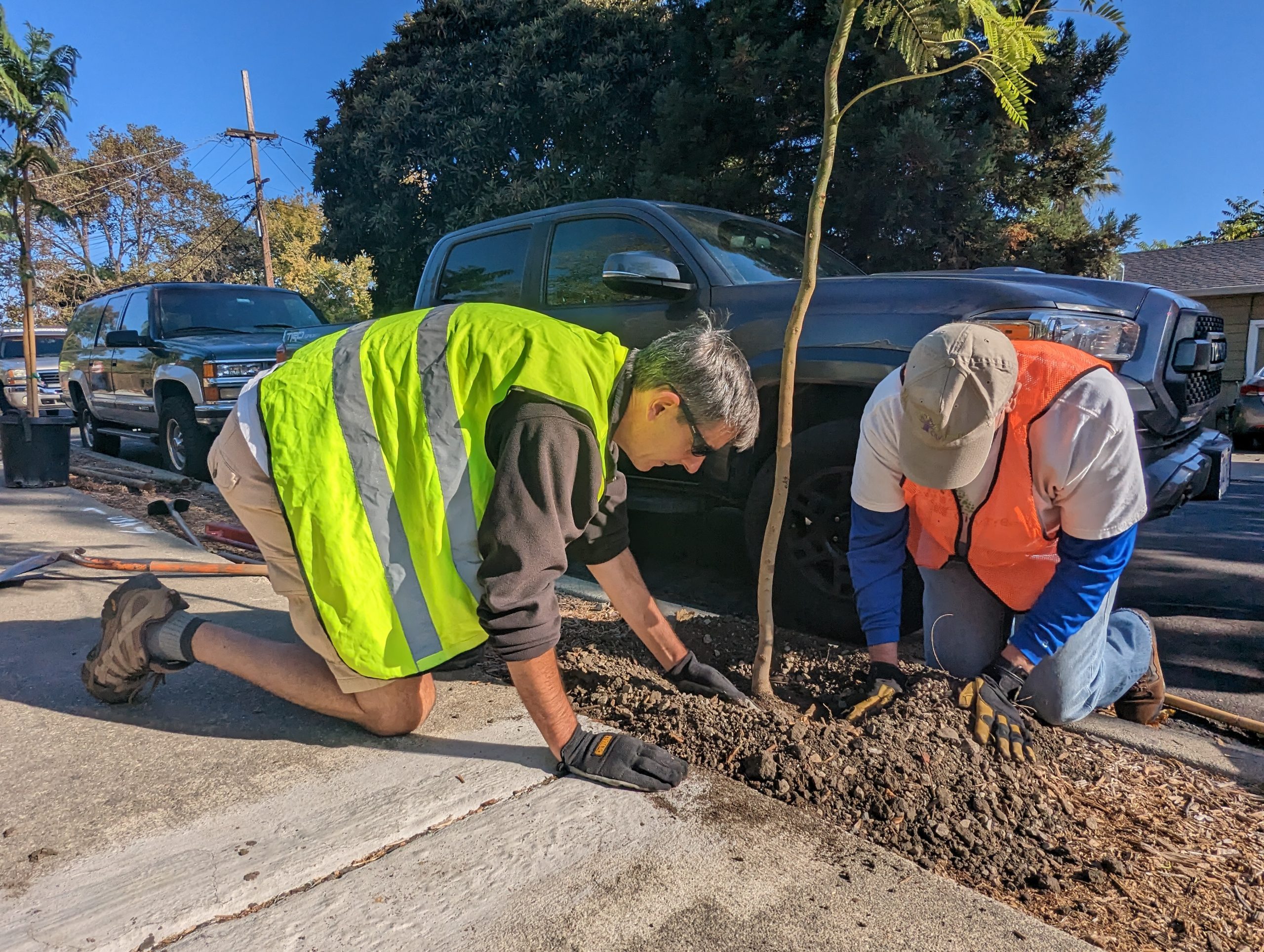 CityTrees of Redwood City - Neighborhood Tree Planting