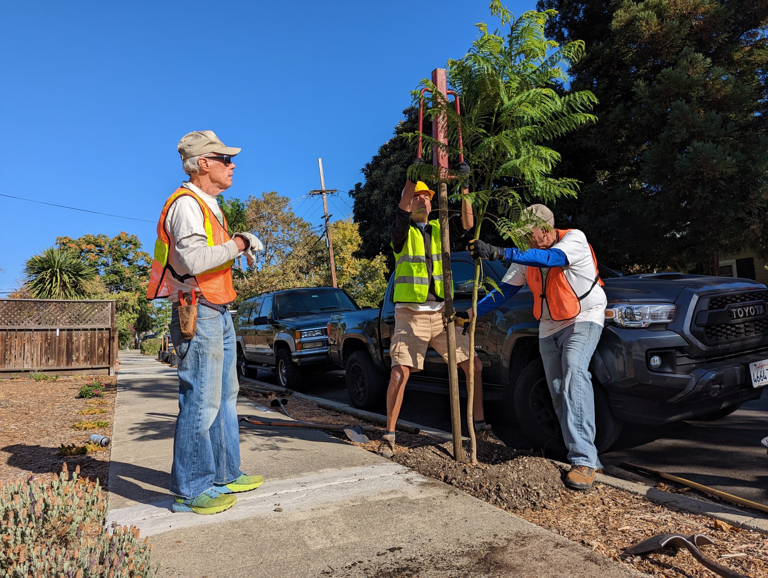 CityTrees of Redwood City - Neighborhood Tree Planting