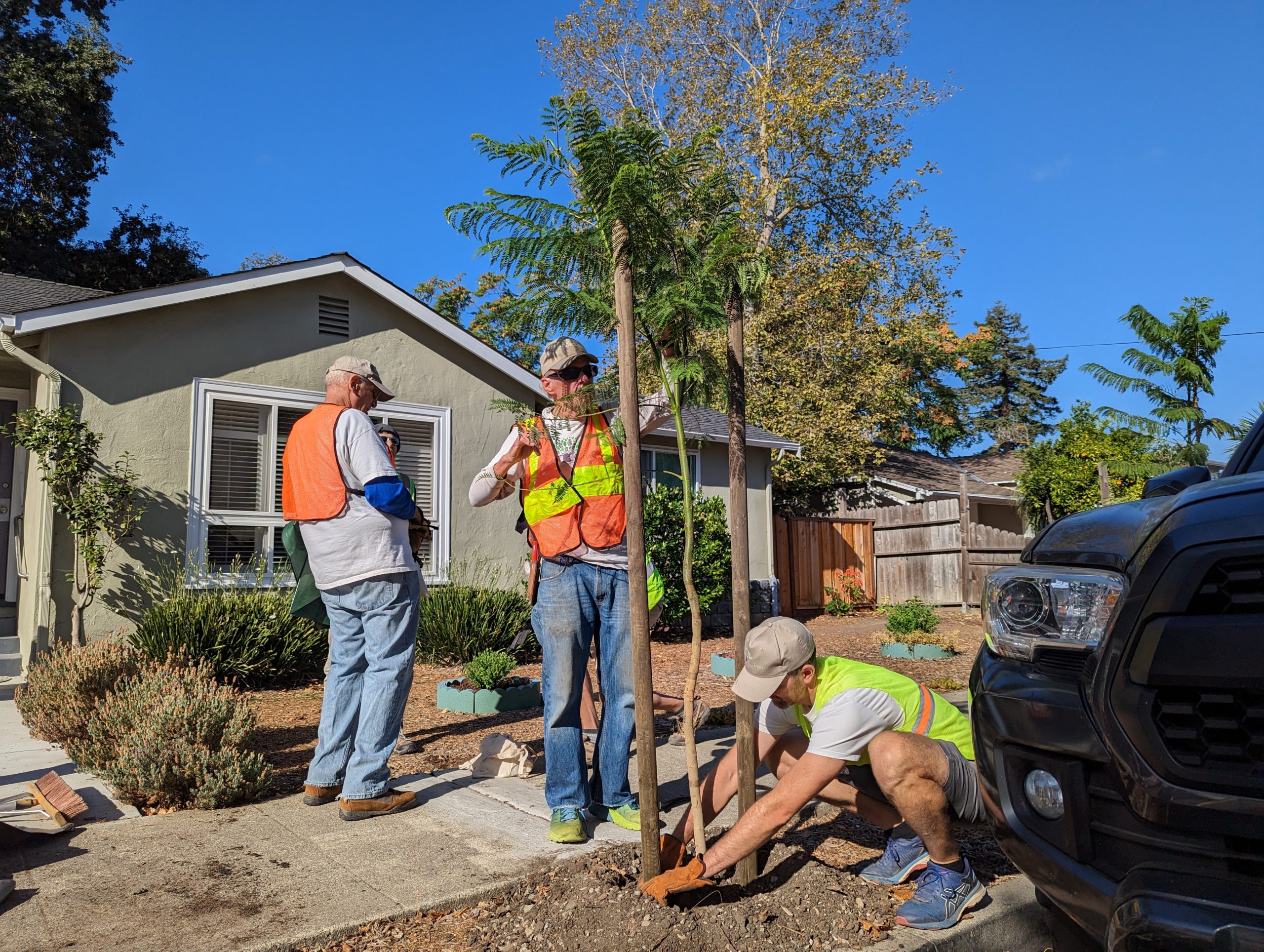 CityTrees of Redwood City - Neighborhood Tree Planting