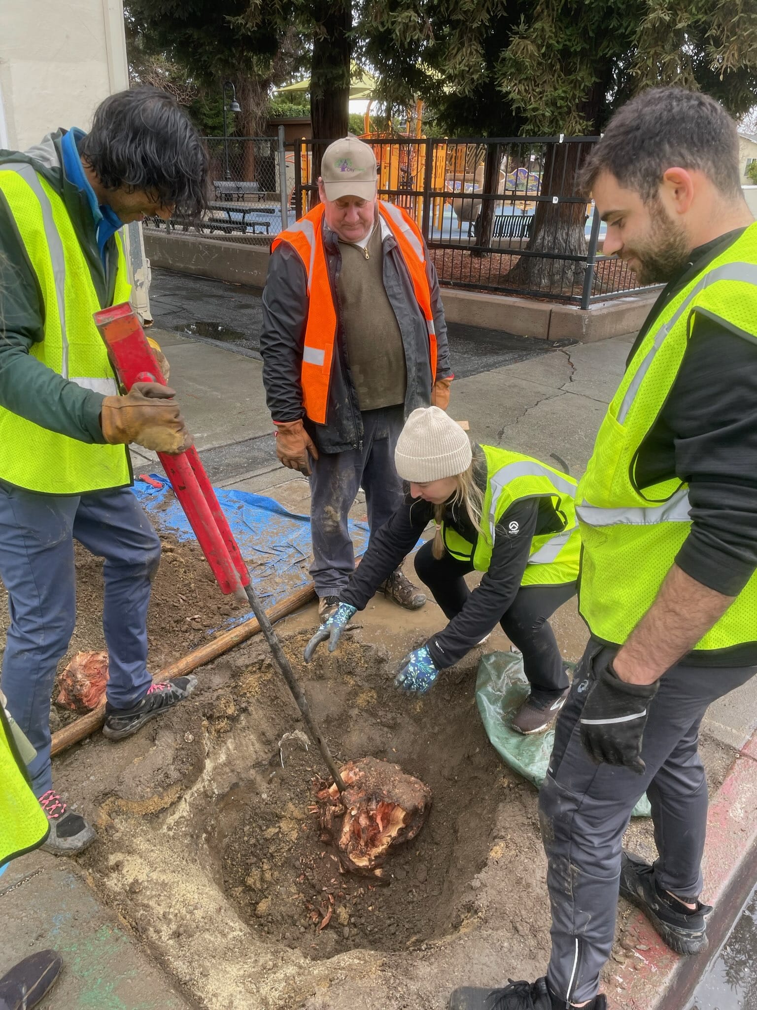 CityTrees of Redwood City: A Rainy Day, Determined Hearts, and 10 New ...