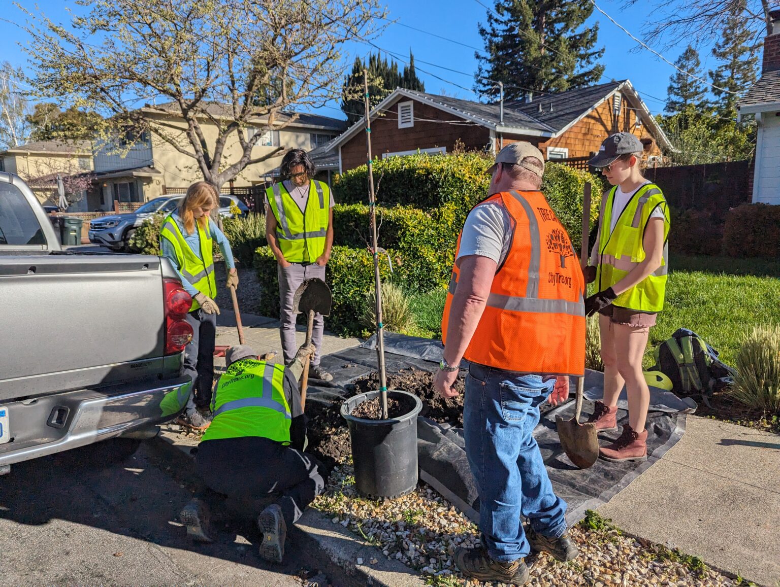 CityTrees of Redwood City - Neighborhood Tree Planting