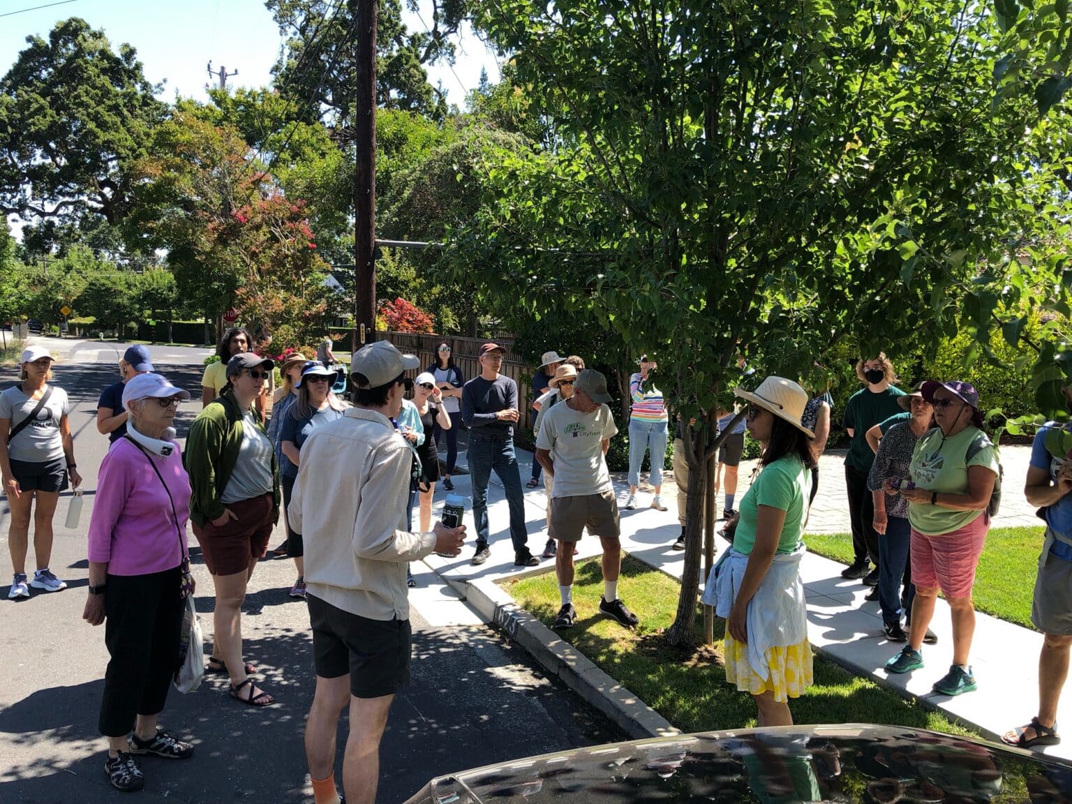 Exploring the Urban Forest: CityTrees Tree Walk with Stanford Arborist ...